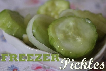 Freezer pickles!